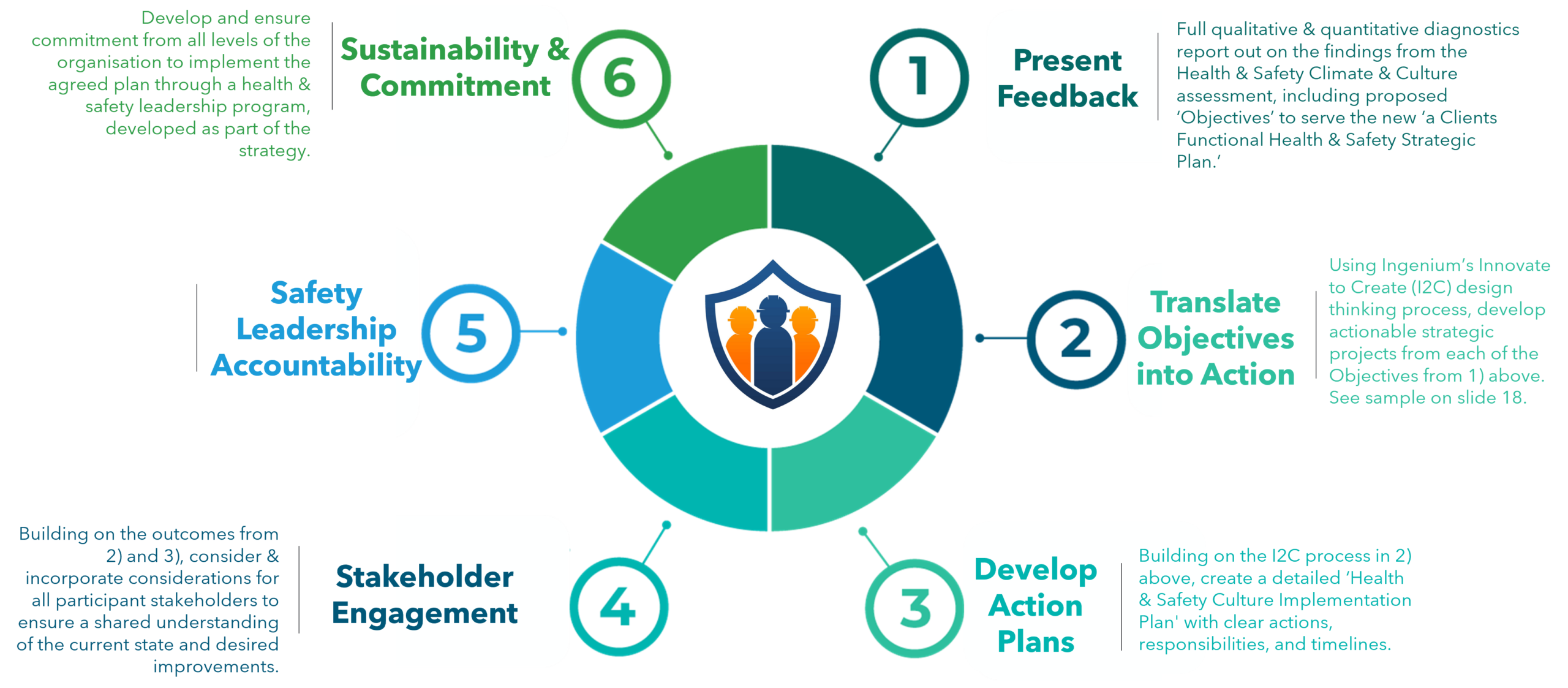 Functional Health & Safety Strategic Plan | Ingenium